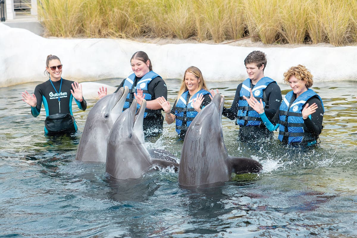 New Encounters and Old Friends: A Summer to Remember at Gulfarium - FWB ...